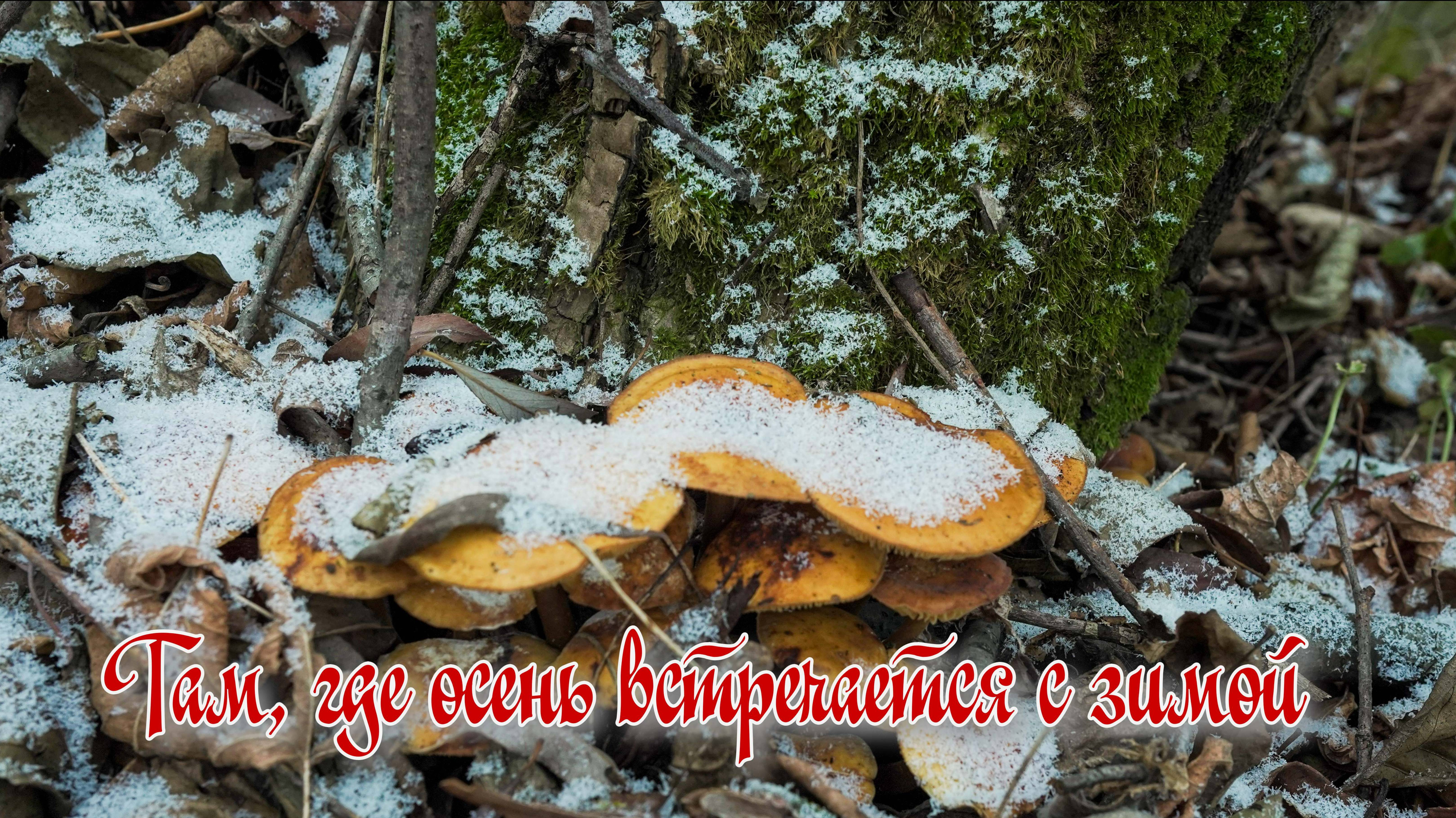 Там, где осень встречается с зимой