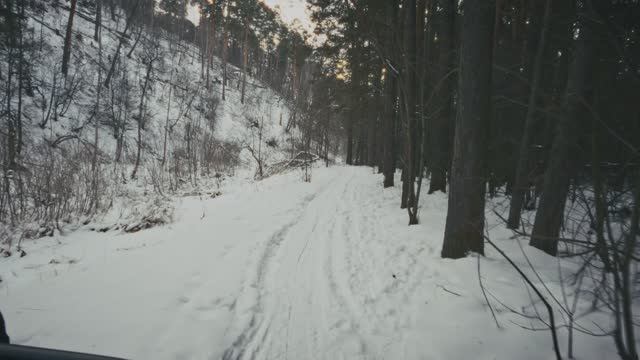Фэтбайк зимой. Томск. Лыжные тропы на Степановке