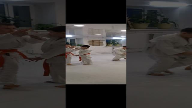 Экзамен по Айкидо. Техники. Младшая группа