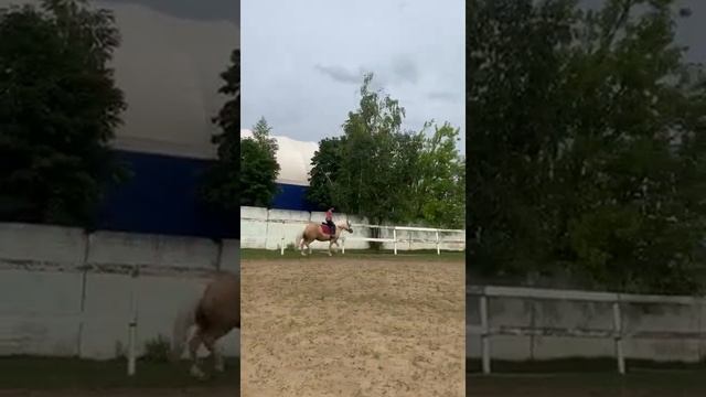 Луиза и Мася 17 июля 2022г.