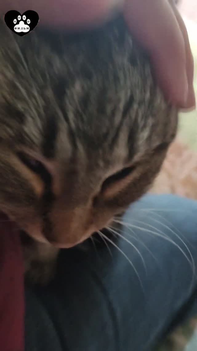 Сказочка от Афина