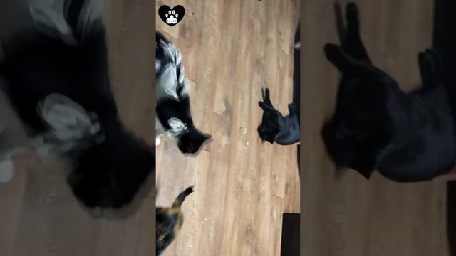 Да ты, узбагойся...