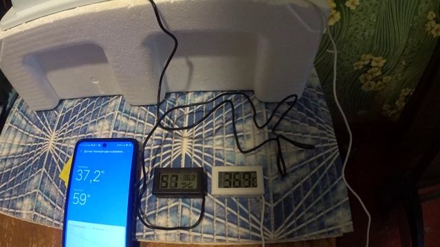 Новая партия яиц, корректировка температур на китайском инкубаторе, обзор для подписчика..