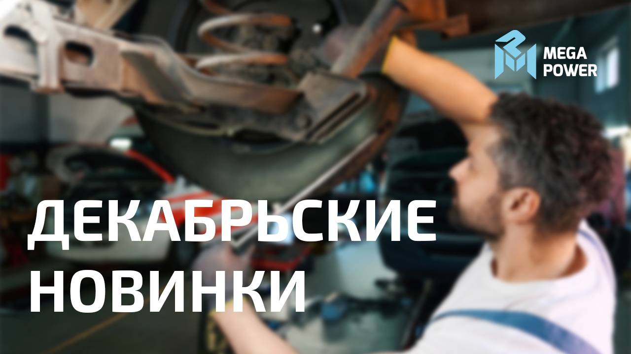 Декабрьские Новинки MEGAPOWER