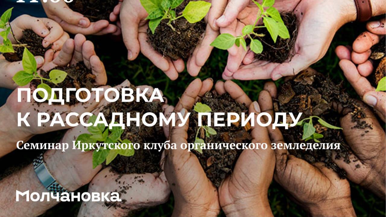 2 сезон 9 семинар. Подготовка к рассадному периоду