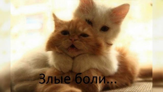 Прогонялка