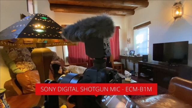 Съемка короткого сюжета не выходя из дома. I Брендон Ли