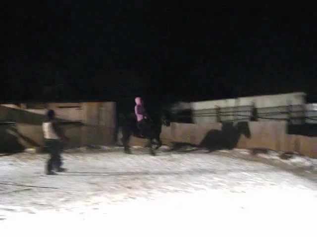 ЧАЙКА первая встреча