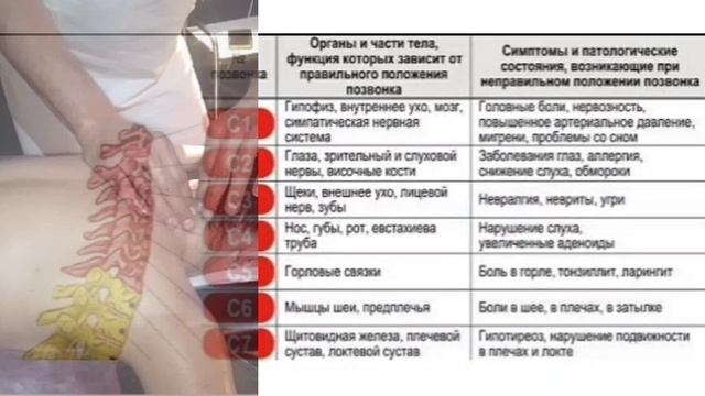 Экспресс обучение. Массаж воротниковой зоны.