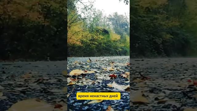 #shorts  Осень моя пришла! из книги: https://ridero.ru/books/vospominaniya_na_klavishakh/