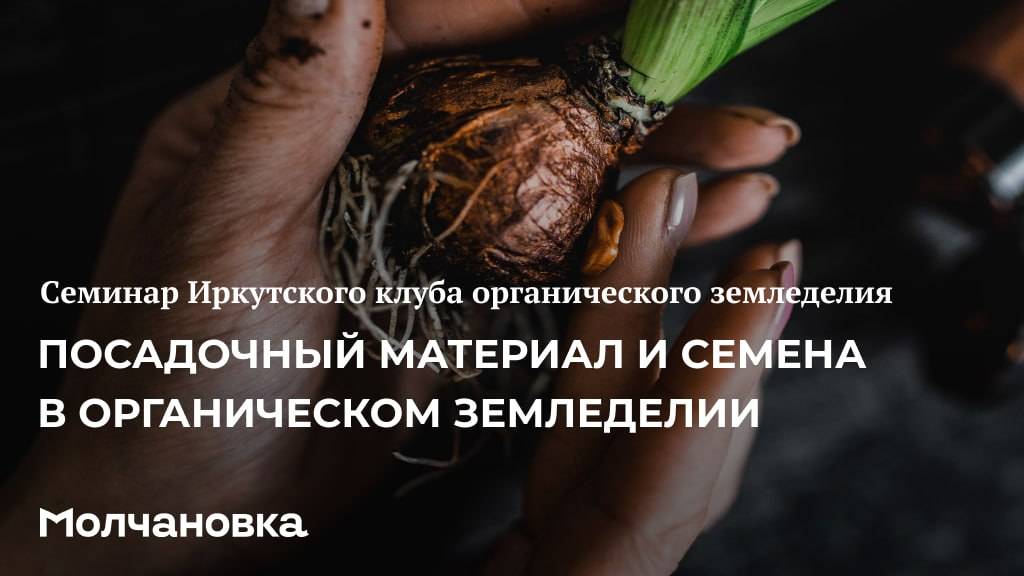 2 сезон 11 семинар. Посадочный материал и семена в органическом земледелии
