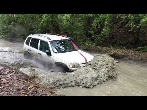 #SKrdLife. Тизер. Волшебный лес и сотни неведомых тропинок или Что такое скворечники для динозавров?