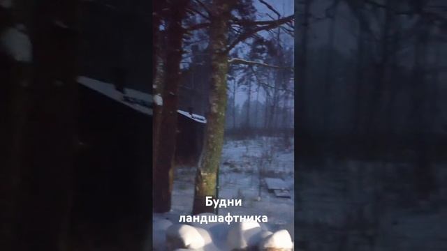 #ландшафтныйдизайн #строительство