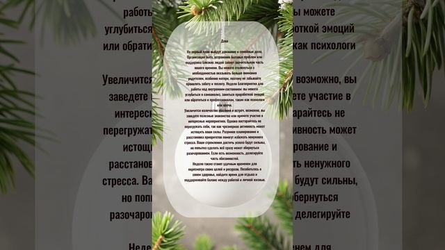 Гороскоп на неделю со 16 по 22 декабря 2024 #7гроз #веды #нумерология #астрология #гороскоп #декабрь