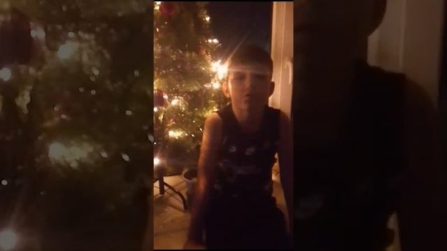 Виноградов Богдан -	«К нам пришла зима»