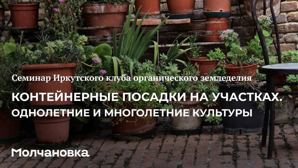 2 сезон 10 семинар. Контейнерные посадки на участках. Однолетние и многолетние культуры