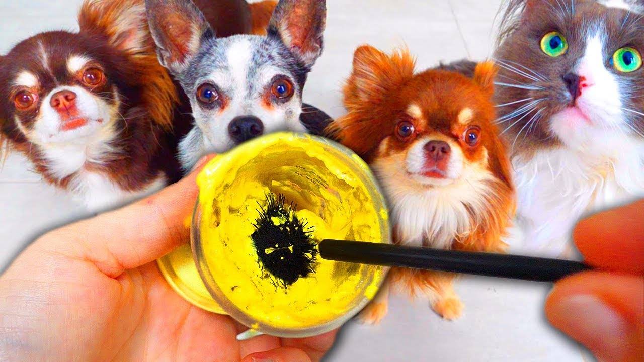 В СЛАЙМЕ БЫЛ КТО-ТО… 😨 6 день антистресс челленджа