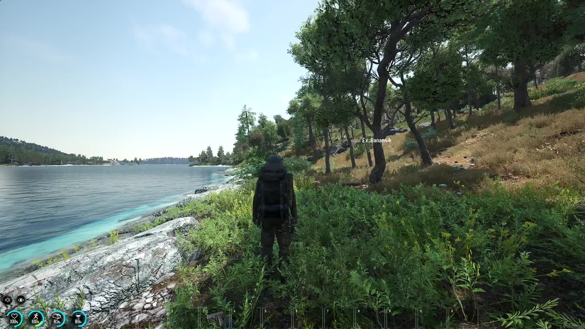 Это S.C.U.M. !!!!