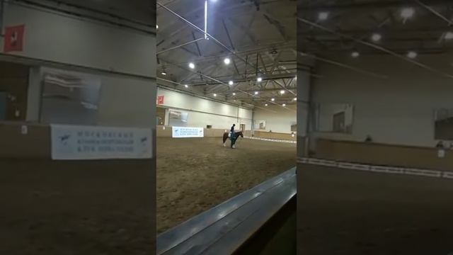 Мария Белова 1 место в программе начало выездки кубок им. П.Т Гурвича