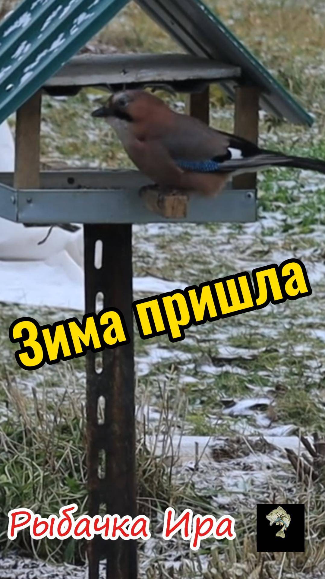 Зима пришла