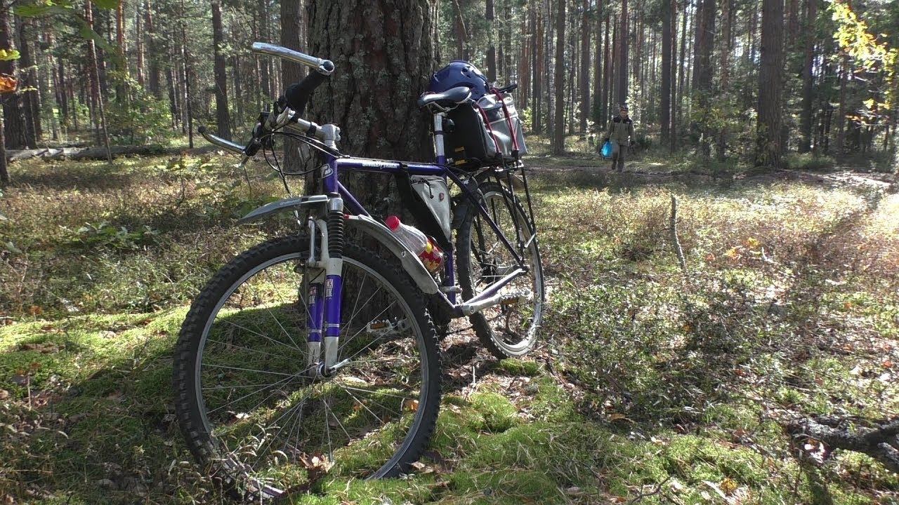 р. Поля ВелоПВД Правобережье от Бакшеево до Клязьмы 23-24.09.2017