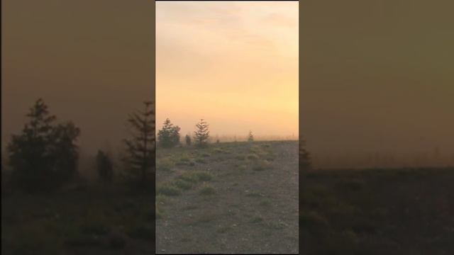 Утро в бухте Кедровой.