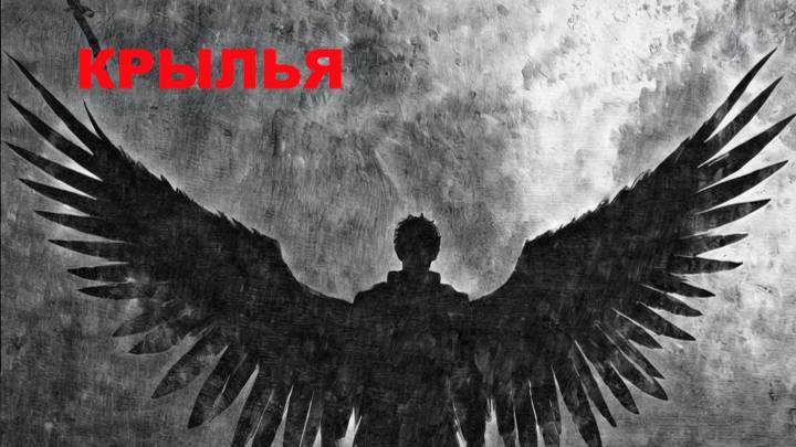 "Глава "Крылья" (1) из книги "Тридевять земель"