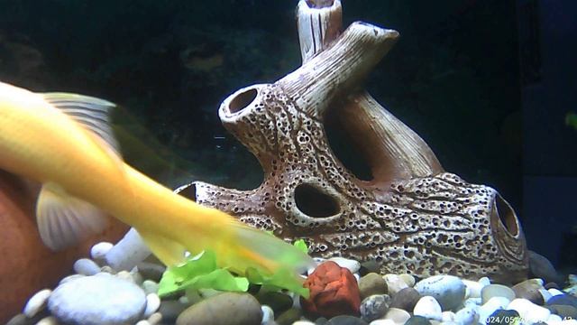 Подводный театр