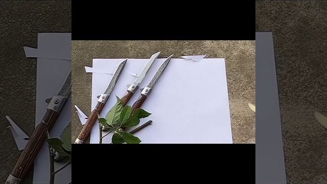 Складной нож для фруктов из нержавеющей стали