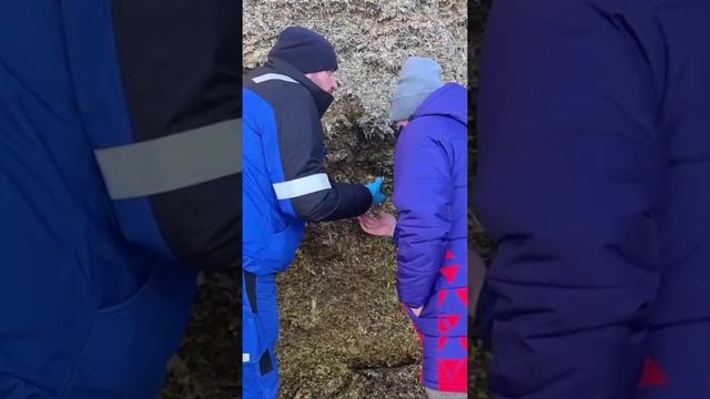 Наш 2024 год.mp4