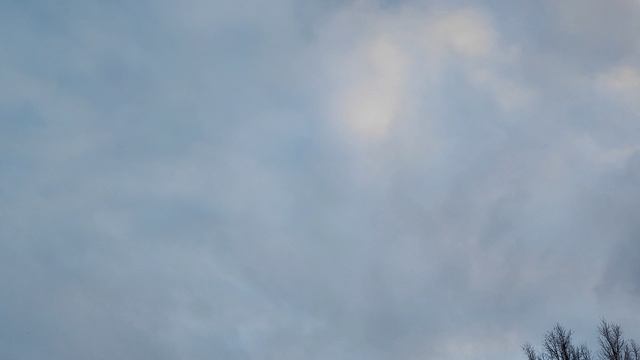 как выглядят известные могилы под покровом снега: Шатунов, Заворотнюк, Лëвкин и другие 17.12.2024