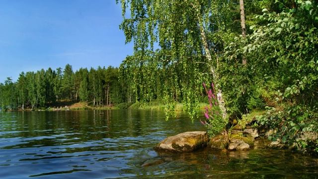 Звуки Небольшой Реки, Всплеск Воды. Расслабляющие ЗВУКИ РЕКИ. 5 Часов Тишины и Спокойствия