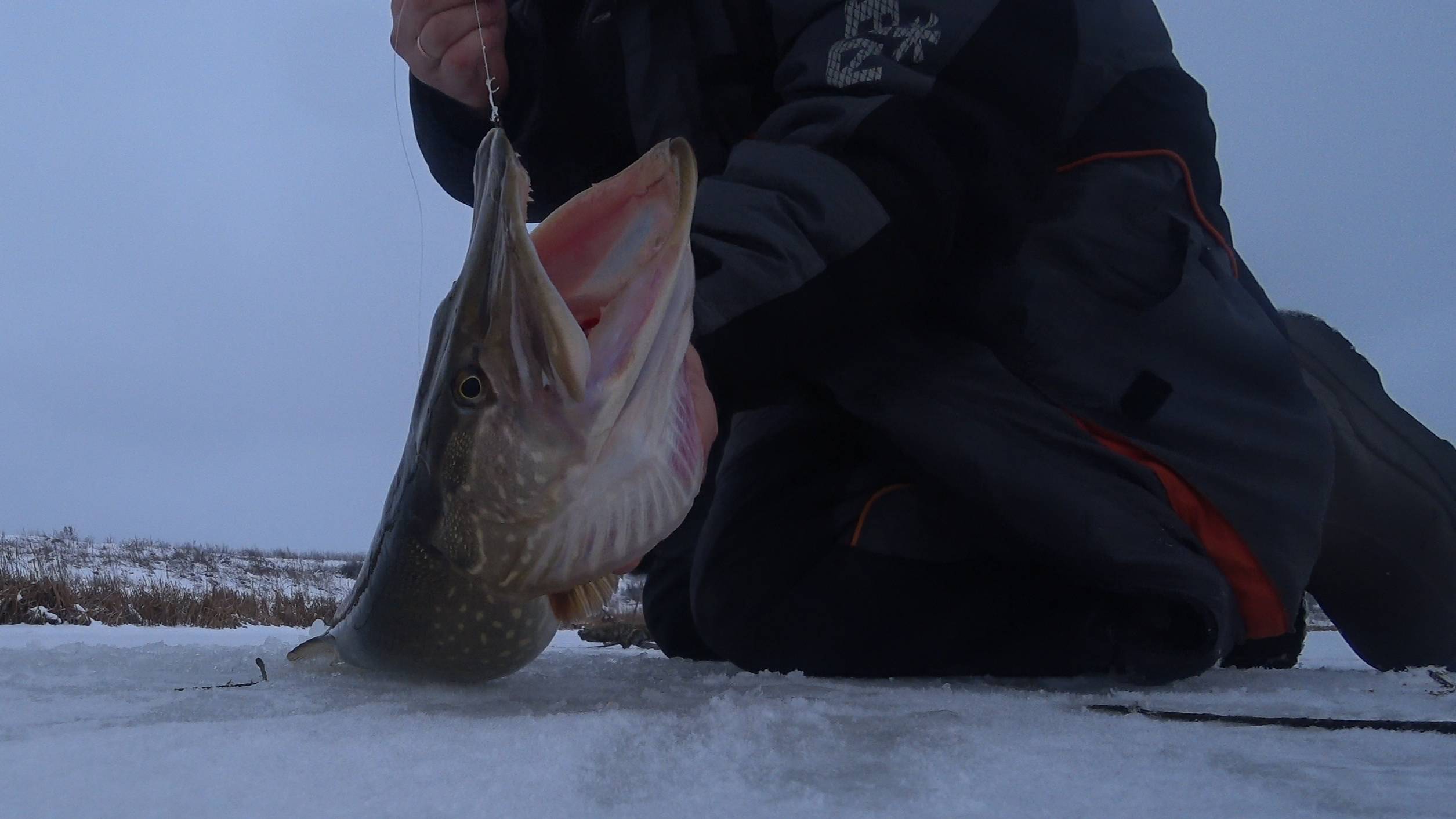 С Жерлицами за щукой по первому льду. Пошла жара.