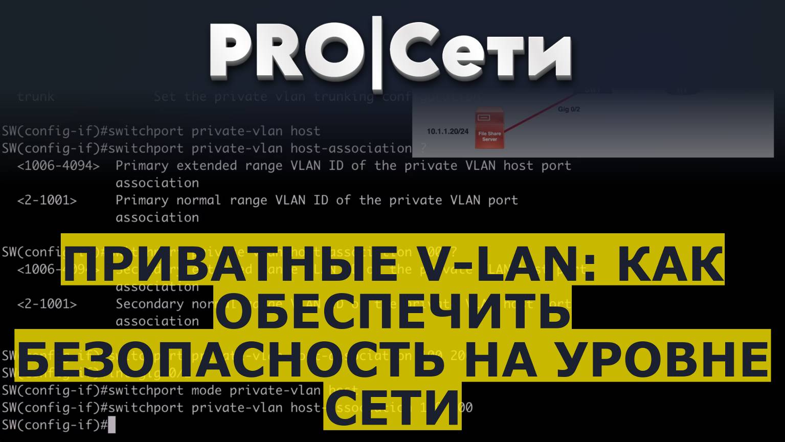 Приватные V-LAN: Как обеспечить безопасность на уровне сети