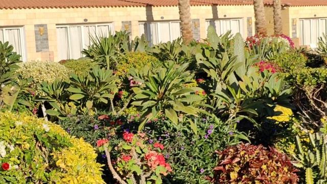 ТЕРРИТОРИЯ ОТЕЛЯ HAWAII RIVIERA ПОРАЗИЛА СВОЕЙ КРАСОТОЙ!