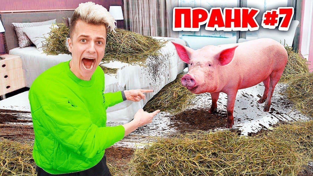СДЕЛАЛ СВИНАРНИК В КВАРТИРЕ ДРУГА **месяц пранков**