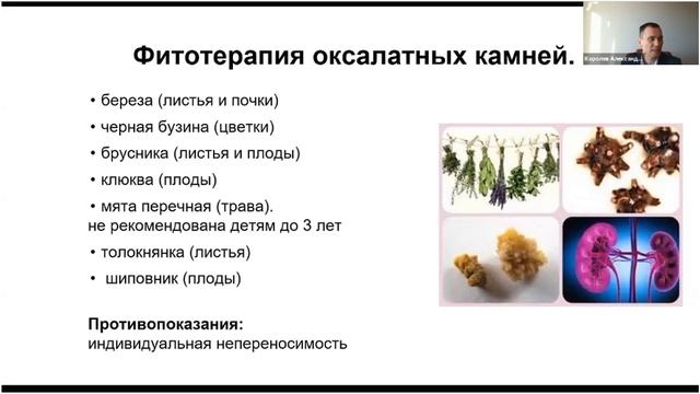 От воспаления в почке до трансплантации. Королев Александр, к.м.н.,врач-нутрициолог, уролог, онколог