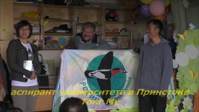 Лопатень (Calidris pygmeus) - презентация для школьников