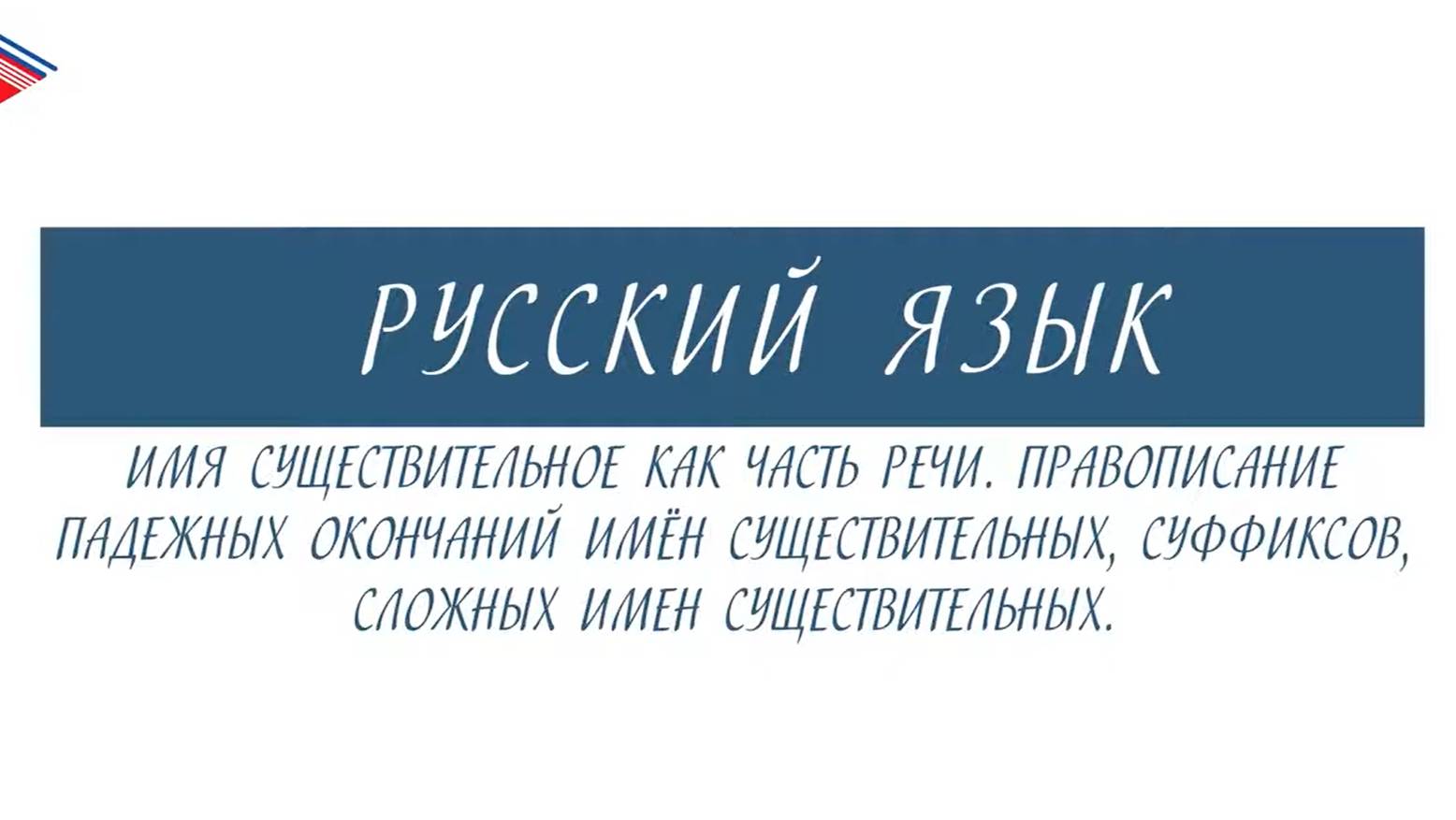 10 класс - Русский язык - Имя существительное. Правописание падежных окончаний, суффиксов