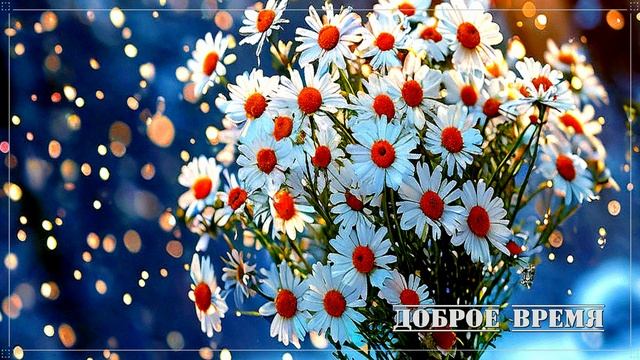 ДОБРОЕ УТРО!! _ КРАСИВЫЕ ПЕСНИ ОБО ВСЁМ