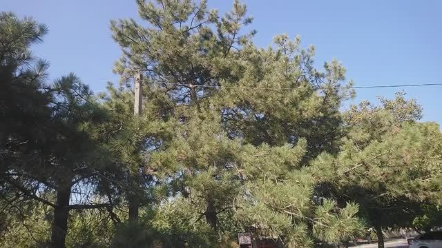 НЕПРЕДВИДЕННОЕ ПУТЕШЕСТВИЕ В ШКОЛУ!