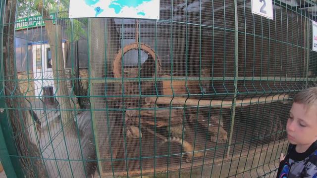 Западный Крым 2021. Оленевка. Пансионат "Солнечная долина".