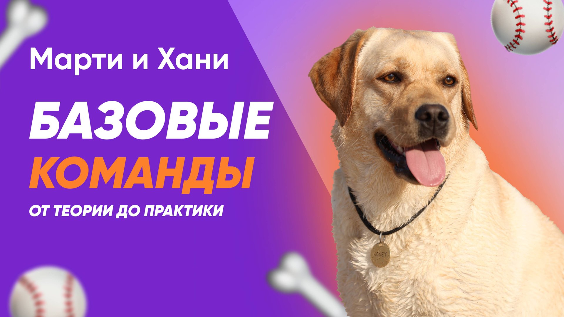 ДРЕССИРОВКА СОБАКИ С НУЛЯ / БАЗОВЫЕ КОМАНДЫ / СИДЕТЬ, ЛЕЖАТЬ, СТОЯТЬ, РЯДОМ / ТЕОРИЯ И ПРАКТИКА