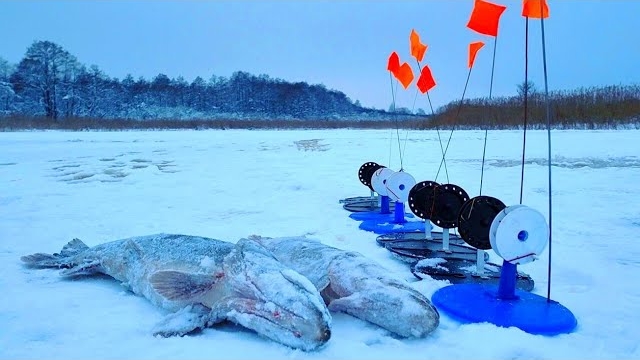 Заставили всё жерлицами! И КТО МОЛОДЕЦ? ВОЛОДЯ МОЛОДЕЦ!!!!