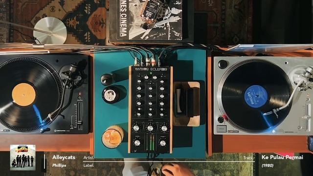 LP & LATTE #11 - HIDDY (CITY POP, FOLK, AND WORLD MUSIC)