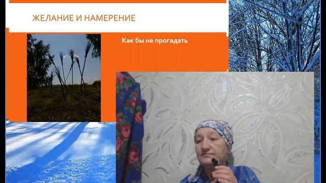 Желание и намерение