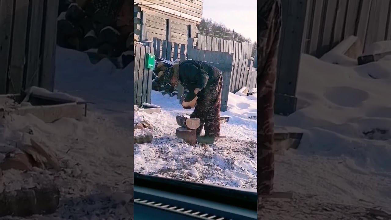 Папа выгнал