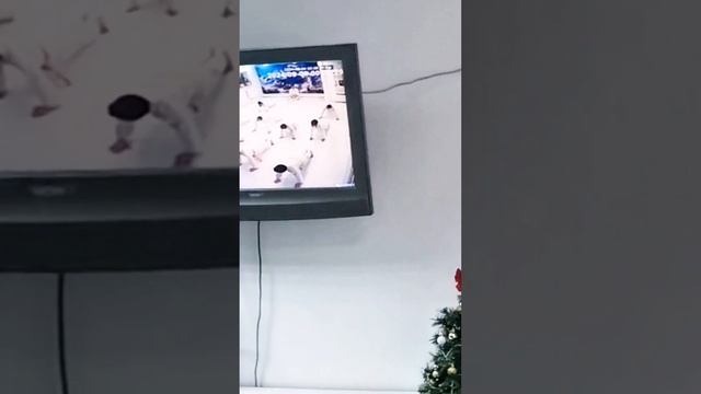 Экзамен по боевым исскуствам в школе Сейфукан Додзё. Сургут