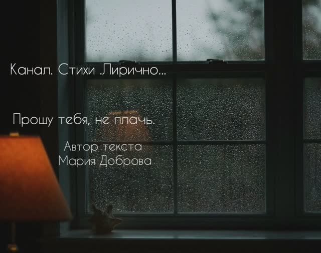 " Прошу тебя, не плачь". Автор текста Мария Доброва.#песня #лирика