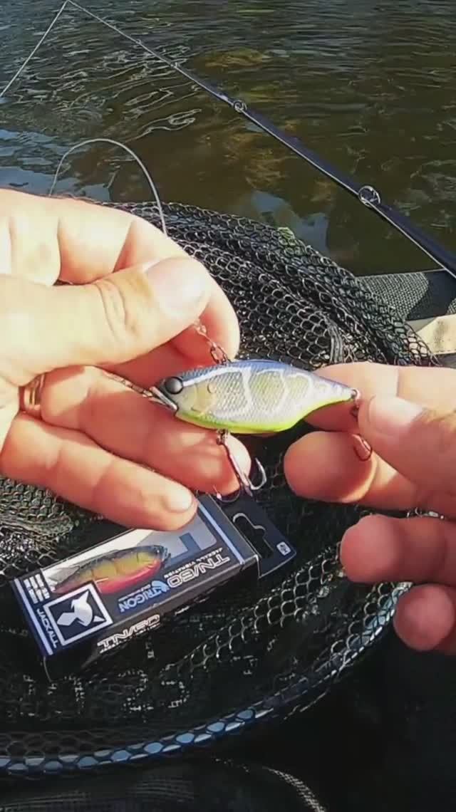 Как поймать ПЕЛАГИЧЕСКОГО окуня на «погремушку», когда он не клюёт на джиг #окунь #раттлин #джиг